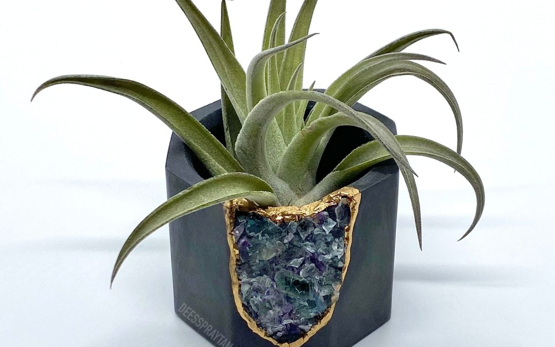 FluoriteGeodeVesselPlanter - Dee's Spray Tan